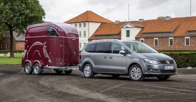 Die besten 7-Sitzer für Familien [Ratgeber] | Dad's Life
